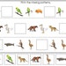 30 Extinct Animals Printable Preschool Educational Games - Etsy