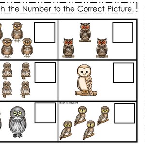 30 Types of Owls Printable Preschool Educational Games Download. Games ...