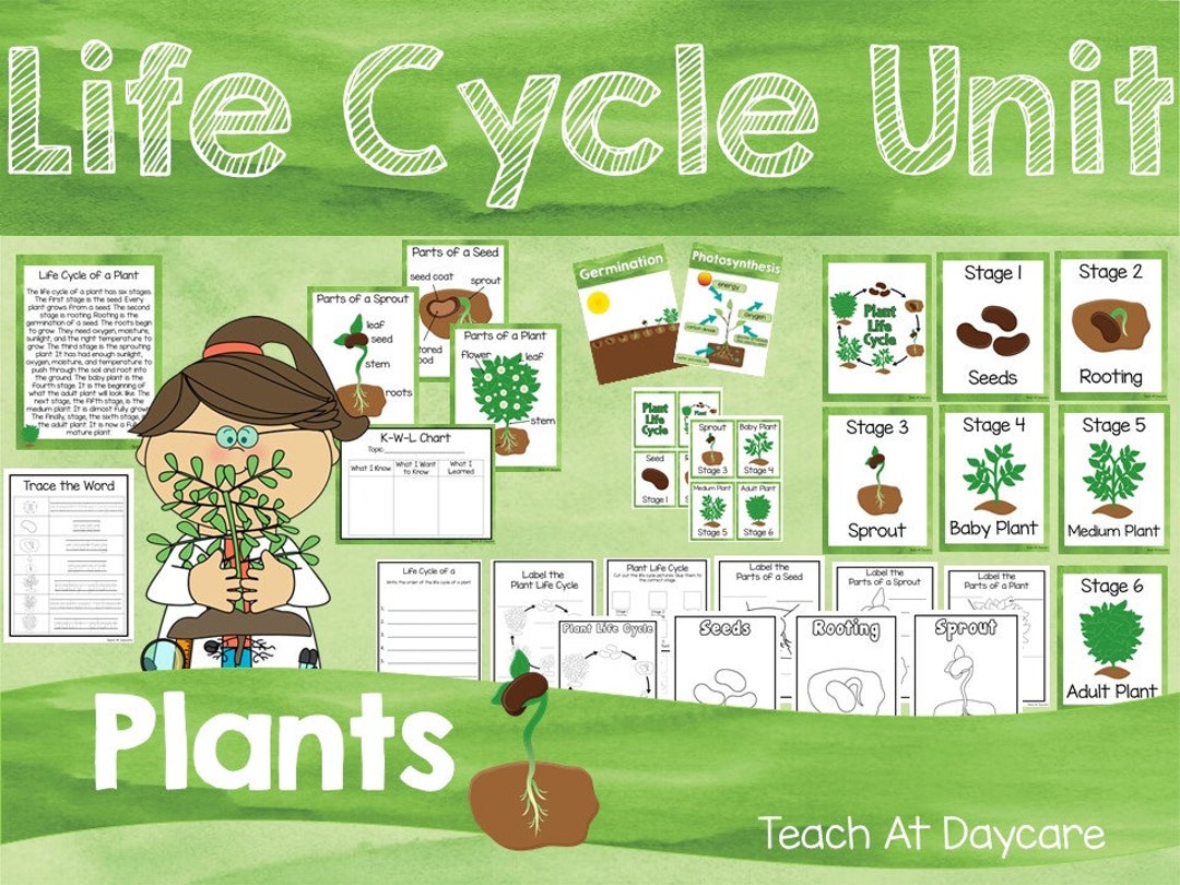 Life Cycle of a Plant Science Curriculum Unit. Worksheets, Activities ...