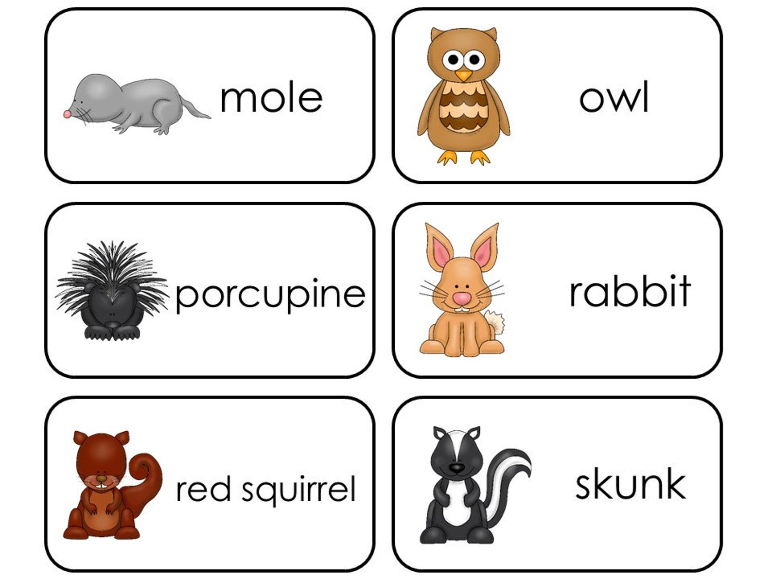 Animal Flashcards Curriculum Download. Preschool-kindergarten. | Etsy