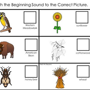 30 Kansas State Symbols Themed Learning Games Download. ZIP File ...