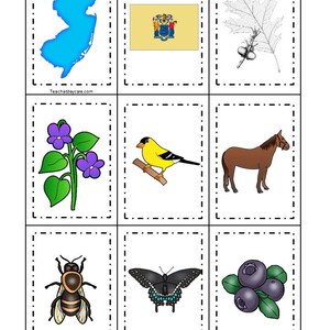 30 New Jersey State Symbols Themed Learning Games Download. ZIP File ...