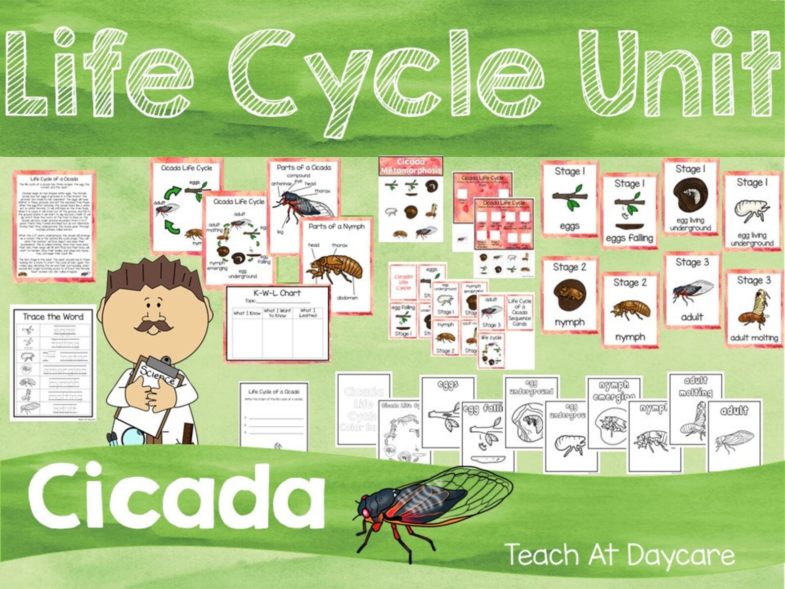 Life Cycle of a Cicada Science Curriculum Unit. Worksheets, Activities ...