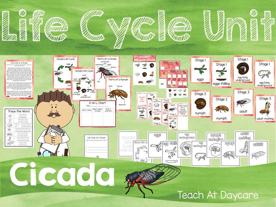 Life Cycle of a Cicada Science Curriculum Unit. Worksheets, Activities ...