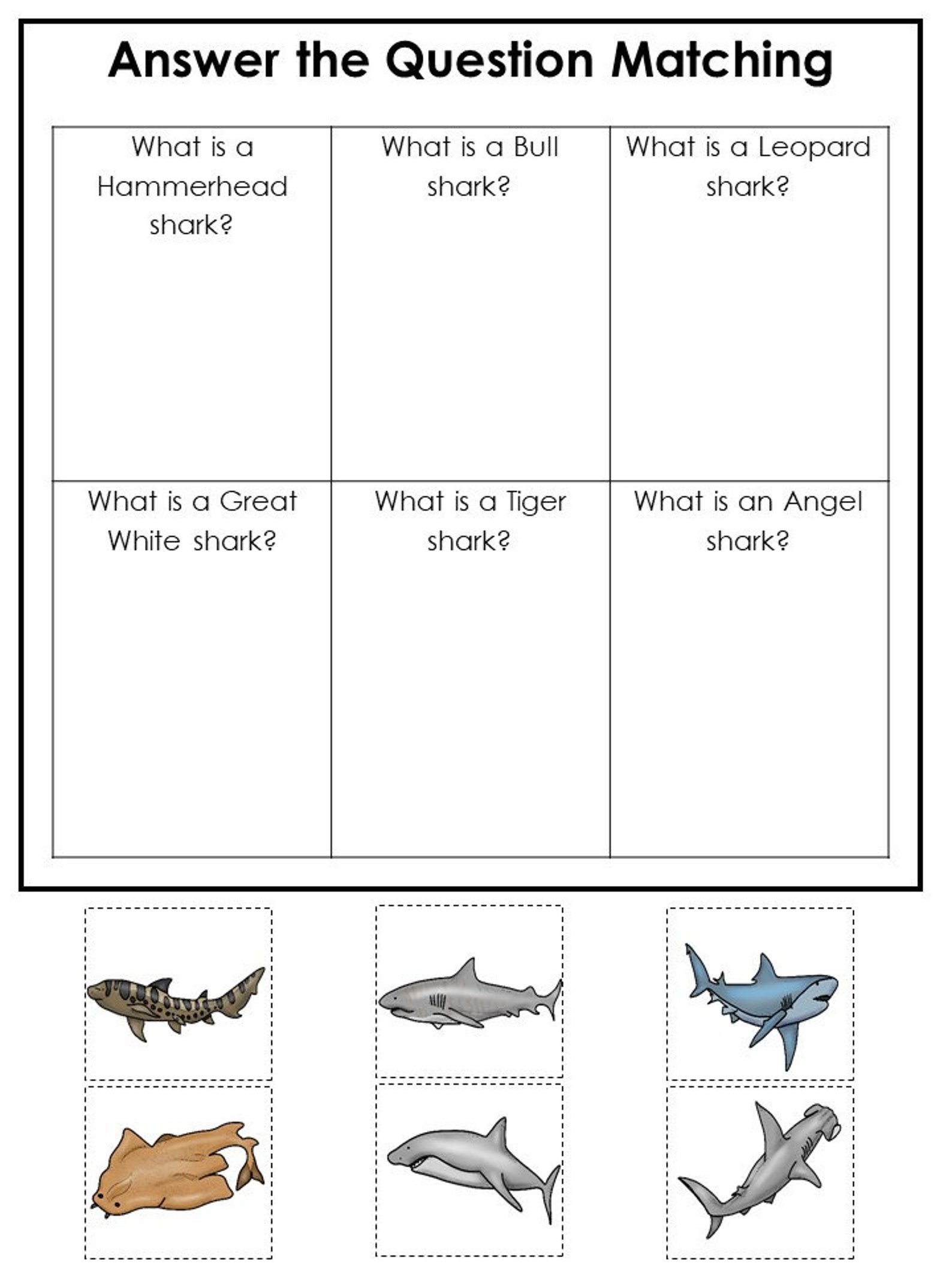 30 Sharks Printable Preschool Educational Games Download. Games and ...