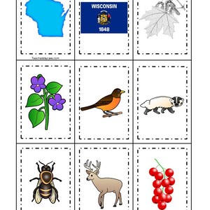 30 Wisconsin State Symbols Themed Learning Games Download. ZIP File ...