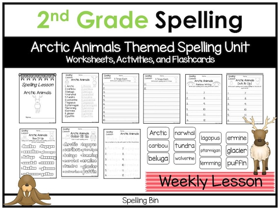 Second Grade Arctic Animals Themed Words Spelling Activity. | Etsy
