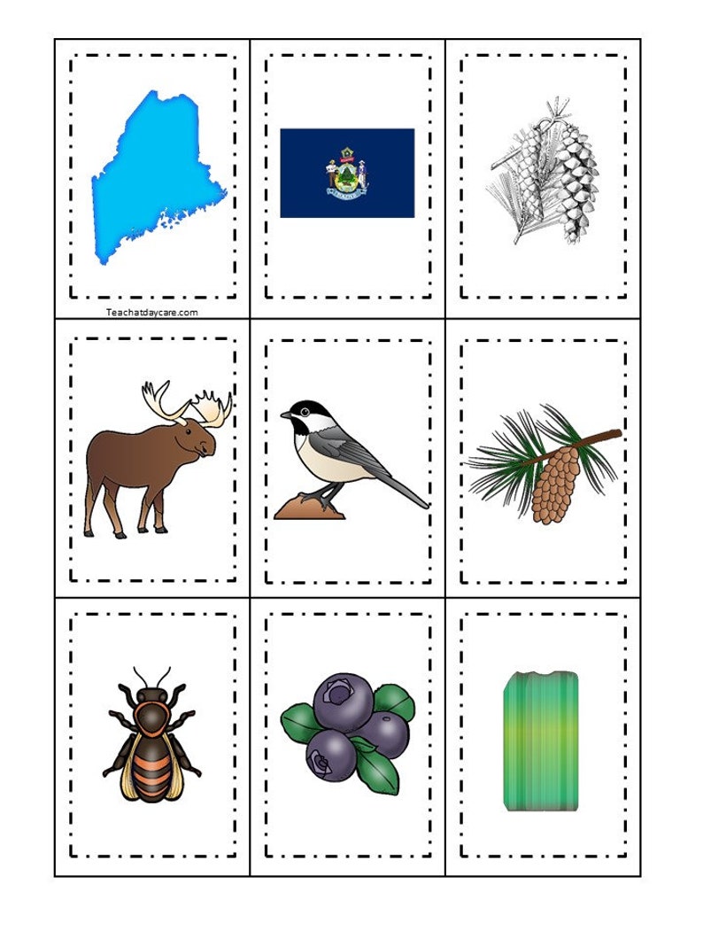 30 Maine State Symbols Themed Learning Games Download. ZIP | Etsy