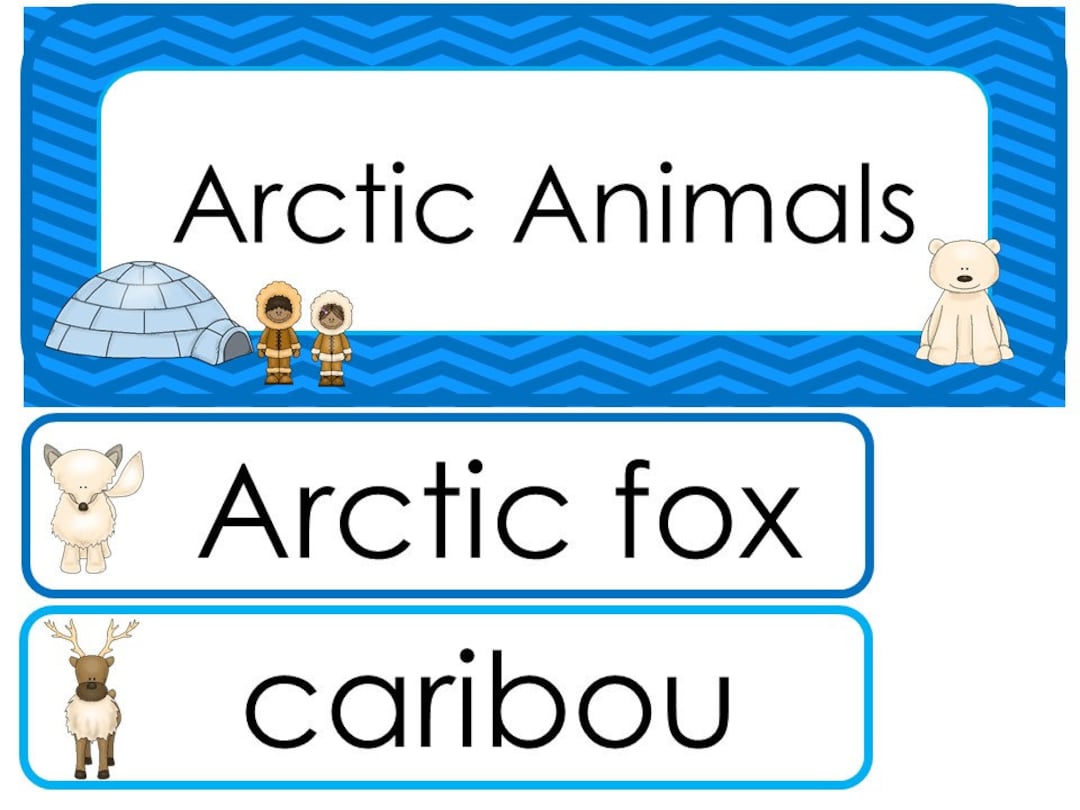 Arctic Animals Single Week Themed Word Wall Set. Classroom Bulletin ...