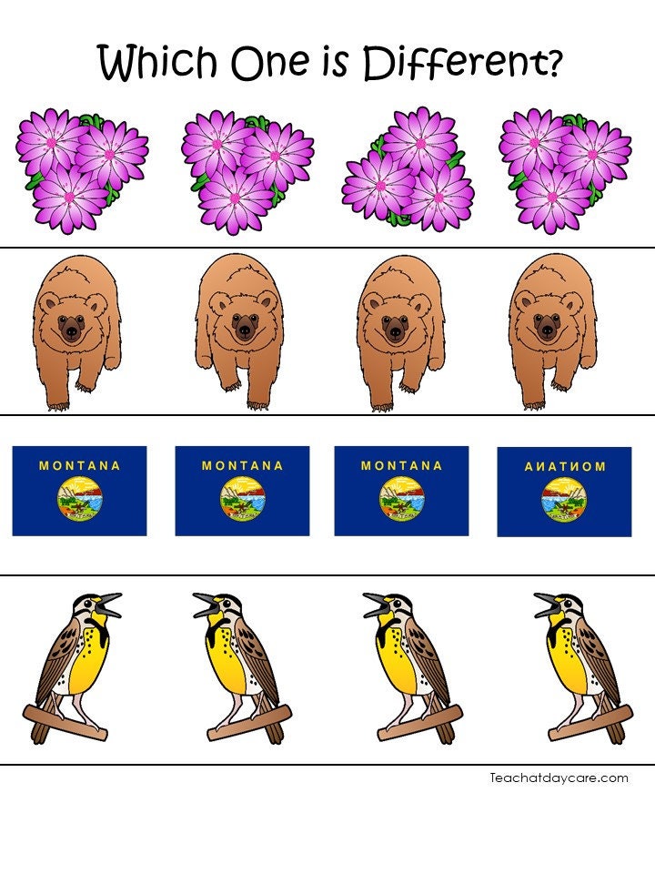 30 Montana State Symbols themed Learning Games Download. ZIP | Etsy