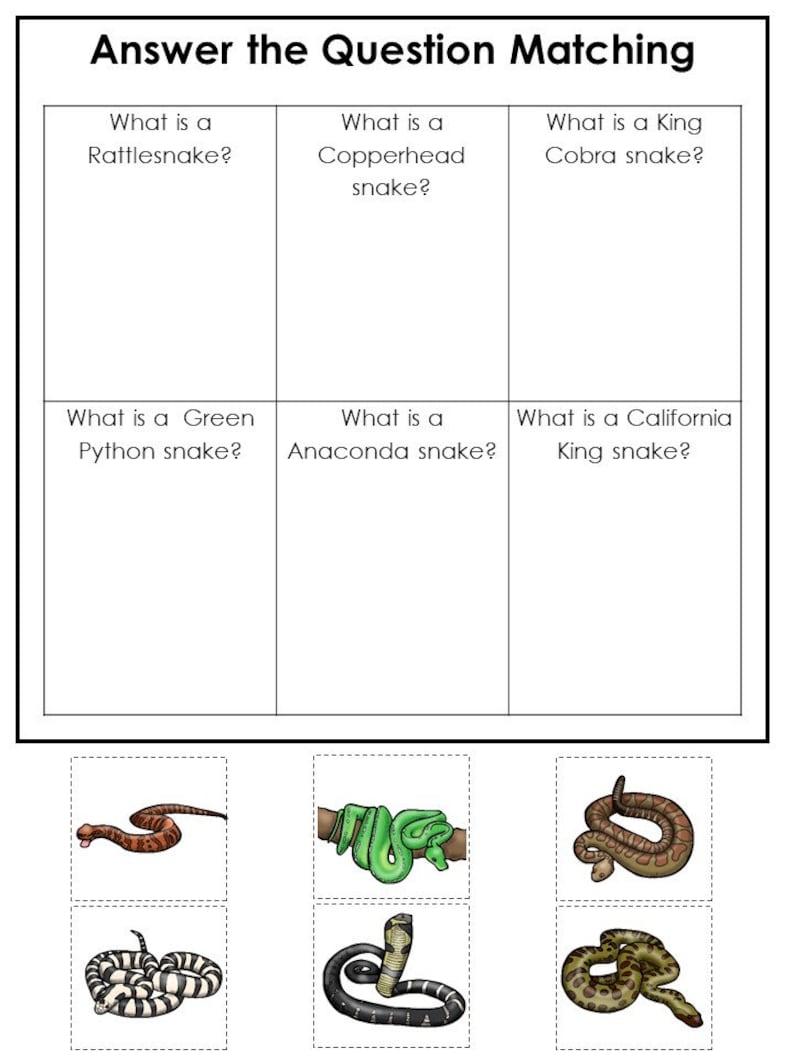 30 Snakes Printable Preschool Educational Games Download. Games and ...