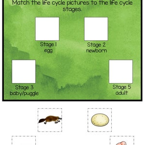 Life Cycle of a Platypus Science Curriculum Unit. Worksheets ...