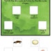 Life Cycle of a Platypus Science Curriculum Unit. Worksheets ...
