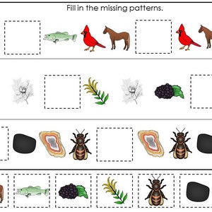 30 Kentucky State Symbols Themed Learning Games Download. ZIP File ...