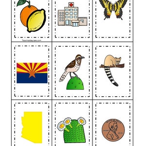 30 Arizona State Symbols Themed Learning Games Download. ZIP File ...