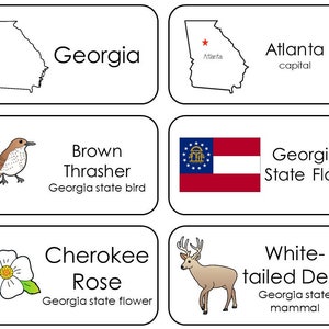 300 State Symbols Printable Flashcards. State, Capital, Flower, Mammal ...