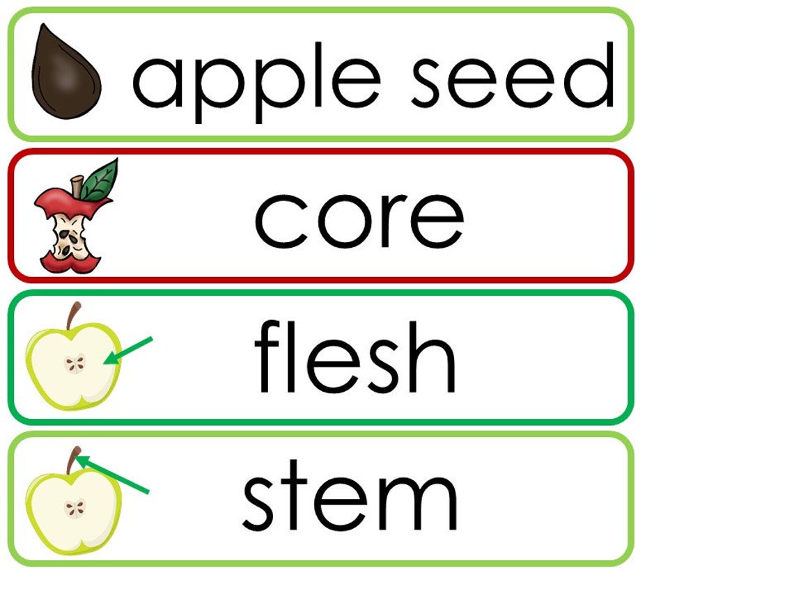Apples Single Week Themed Word Wall Set. Classroom Bulletin - Etsy