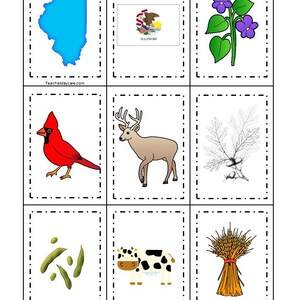 30 Illinois State Symbols Themed Learning Games Download. ZIP File ...