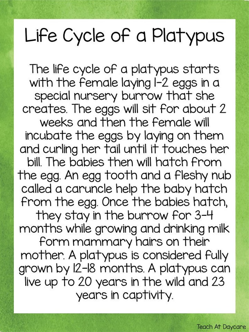 Life Cycle of a Platypus Science Curriculum Unit. Worksheets ...
