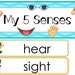 Our Five Senses Single Week Themed Word Wall Set. Classroom Bulletin ...