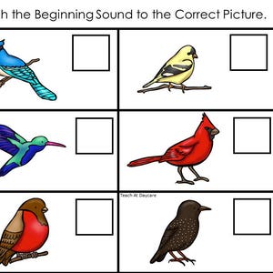 30 Printable Preschool Birds Learning Games Download. Games and ...