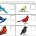 30 Printable Preschool Birds Learning Games Download. Games - Etsy