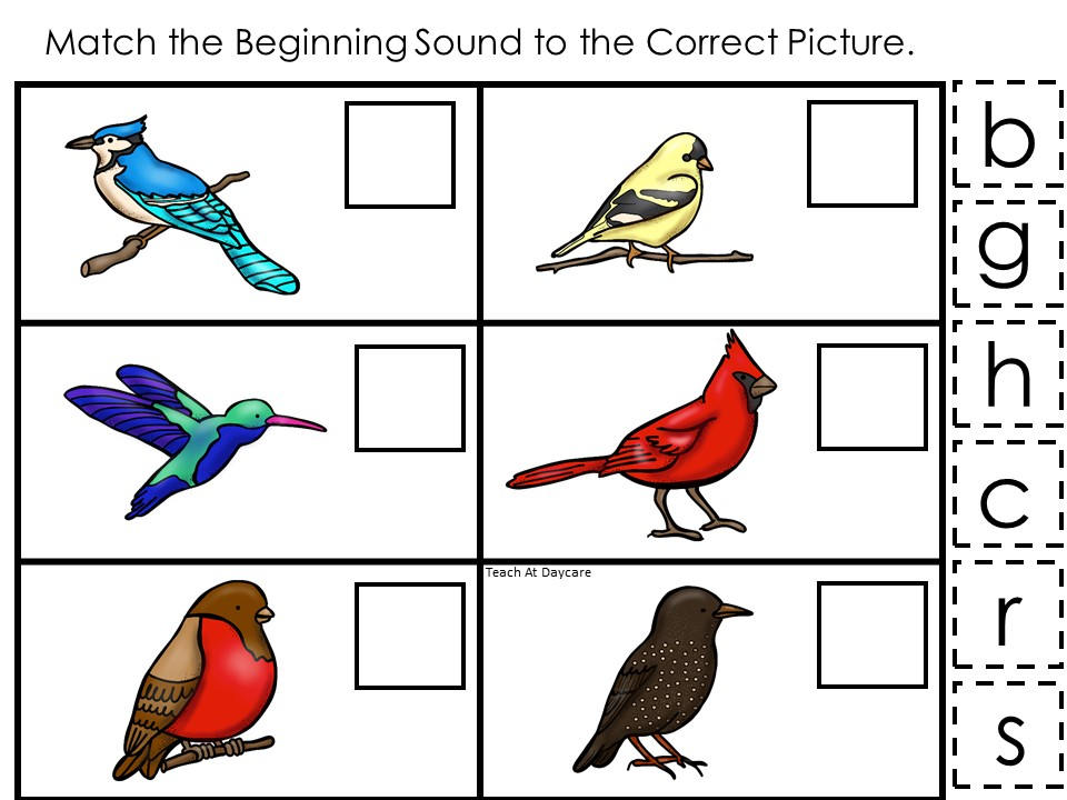 30 Printable Preschool Birds Learning Games Download. Games | Etsy