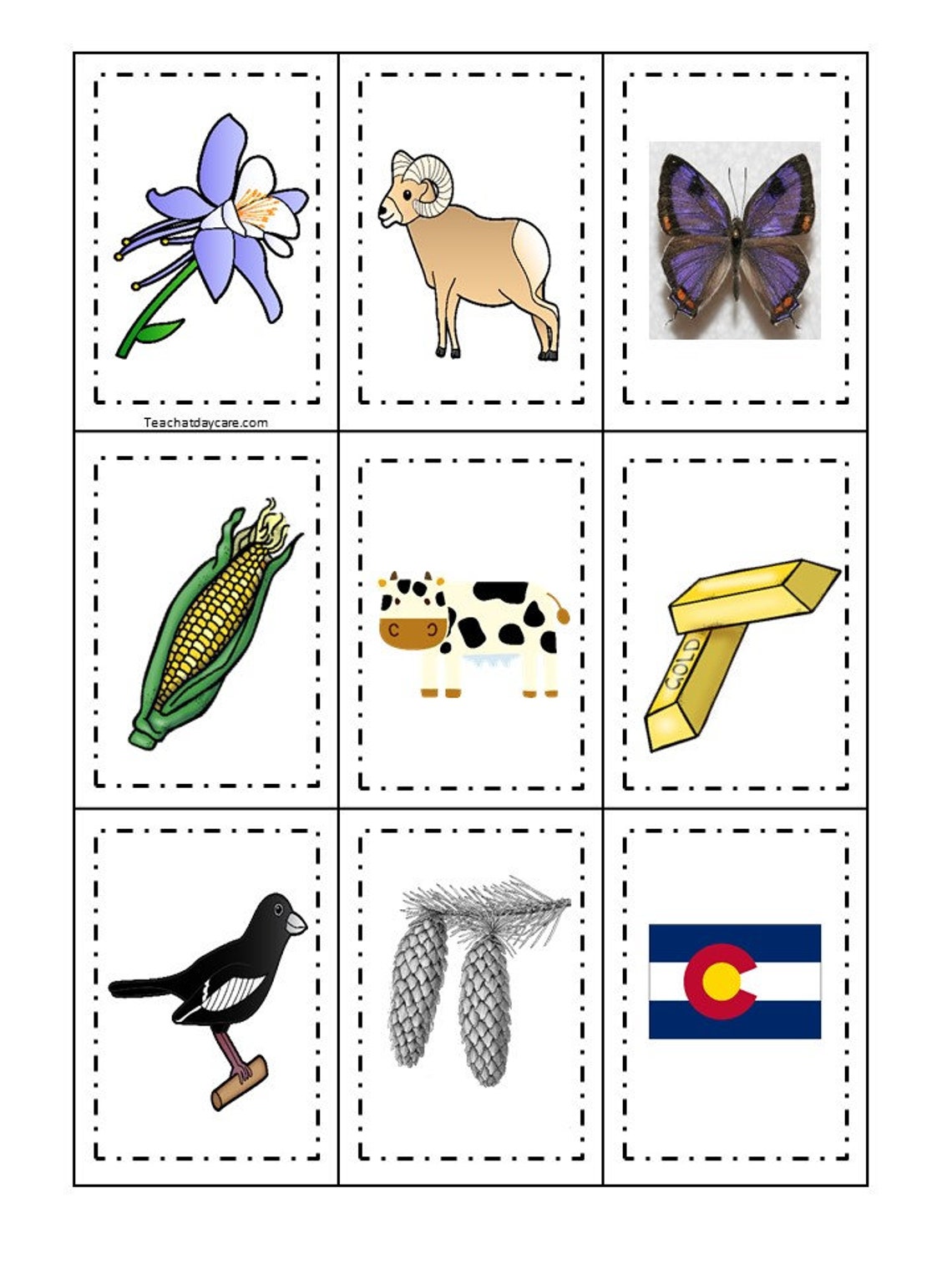 30 Colorado State Symbols themed Learning Games Download. ZIP | Etsy
