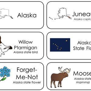 300 State Symbols Printable Flashcards. State, Capital, Flower, Mammal ...