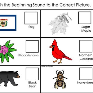 30 West Virginia State Symbols Themed Learning Games Download. ZIP File ...