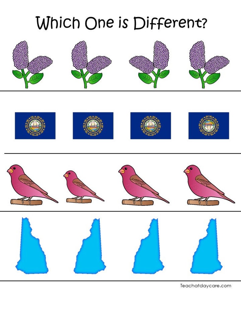 30 New Hampshire State Symbols Themed Learning Games Download. - Etsy