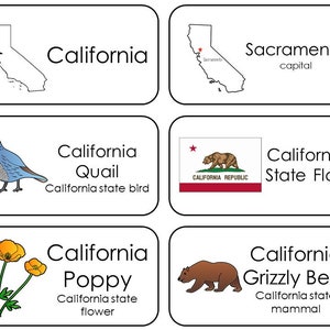 300 State Symbols Printable Flashcards. State, Capital, Flower, Mammal ...