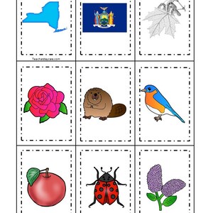 30 New York State Symbols Themed Learning Games Download. ZIP File ...