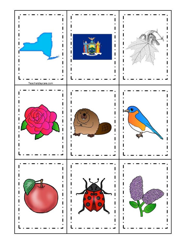 30 New York State Symbols Themed Learning Games Download. ZIP | Etsy