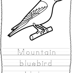 50 Printable State Birds Color Worksheets. Preschool and Kindergarten ...