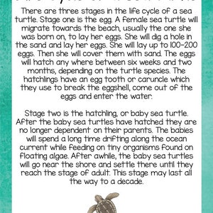 Life Cycle of a Sea Turtle Science Curriculum Unit. Worksheets ...
