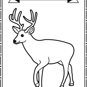 50 Printable State Animals Color Worksheets. Preschool and Kindergarten ...