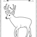 50 Printable State Animals Color Worksheets. Preschool and Kindergarten ...