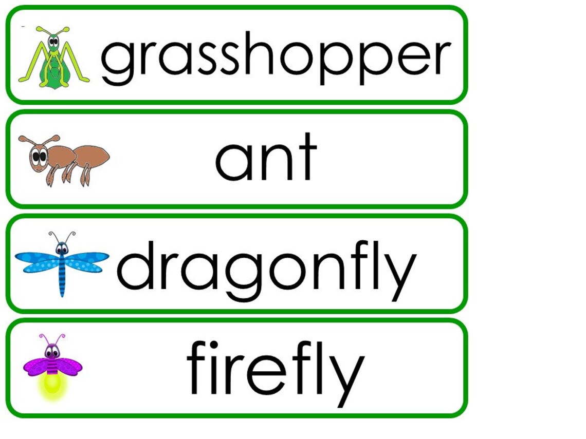 Bugs and Insects Single Week Themed Word Wall Set. Classroom - Etsy