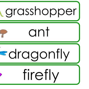 Bugs and Insects Single Week Themed Word Wall Set. Classroom Bulletin ...