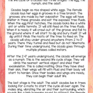 Life Cycle of a Cicada Science Curriculum Unit. Worksheets, Activities ...