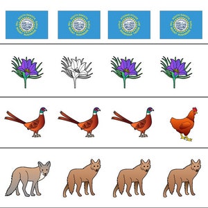 30 South Dakota State Symbols Themed Learning Games Download. ZIP File ...