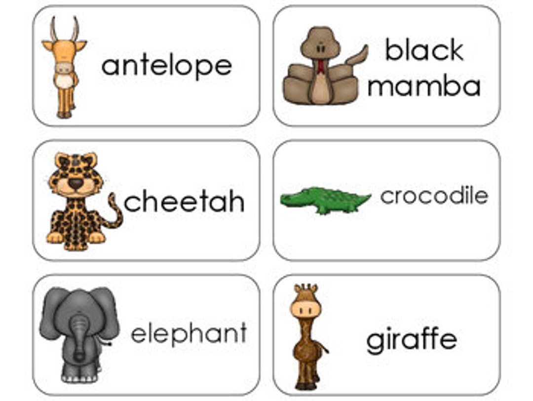 11 African Animals Beginning Stages Quick Reference Flashcards. Daycare ...