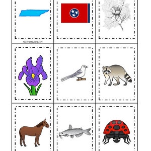 30 Tennessee State Symbols Themed Learning Games Download. ZIP File ...
