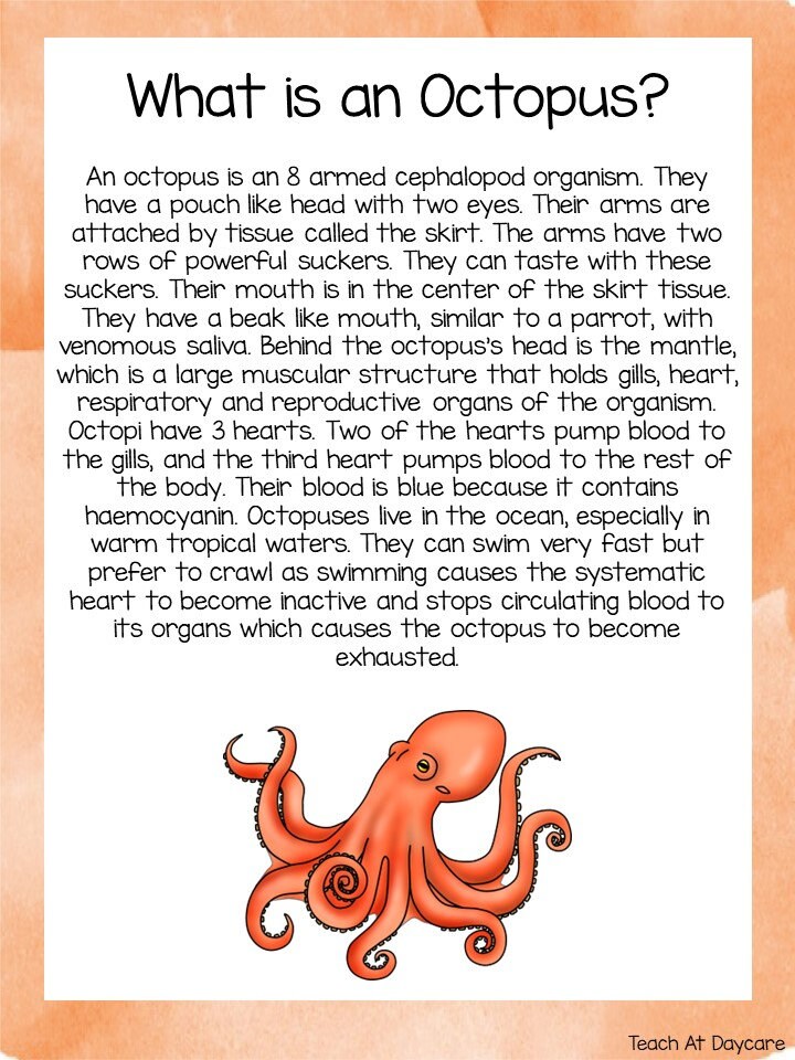 Life Cycle of an Octopus Science Curriculum Unit. Worksheets ...