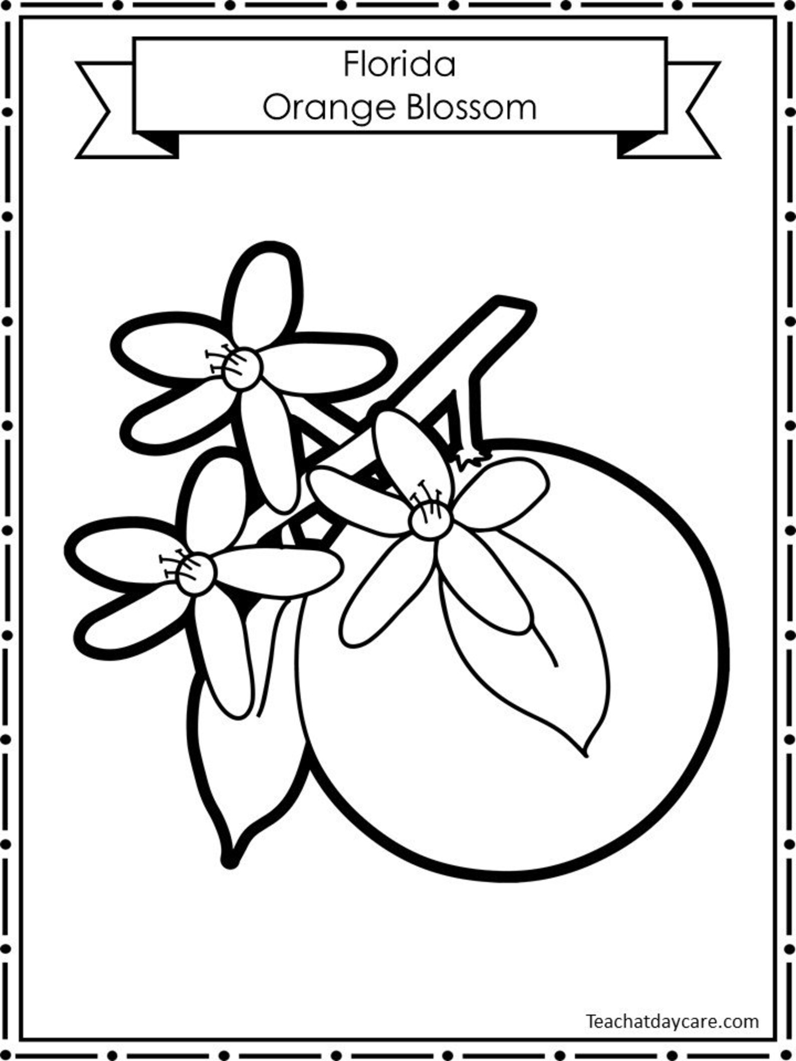 50 Printable State Flower Color Worksheets. Preschool and | Etsy