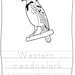 50 Printable State Birds Color Worksheets. Preschool and Kindergarten ...