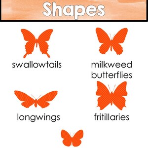 Life Cycle of a Butterfly Science Curriculum Unit. Worksheets ...