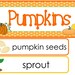50 Classroom Weekly Theme Word Walls Download. Preschool-kindergarten ...