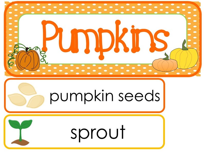 50 Classroom Weekly Theme Word Walls Download. - Etsy